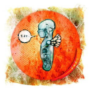 pupaWEB | Divine Mania